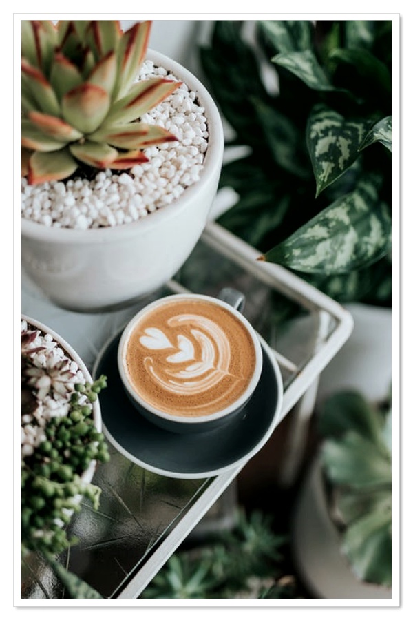 Kopi Gunung Biru Jamaica - Pastikan Anda Dapatkan Urus Niaga